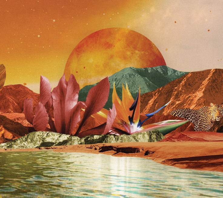 Tell No Lies – Anasyrma (Aut Records, 2020) – Off Topic Magazine